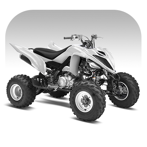 YAMAHA - RAPTOR – SMD Graphics